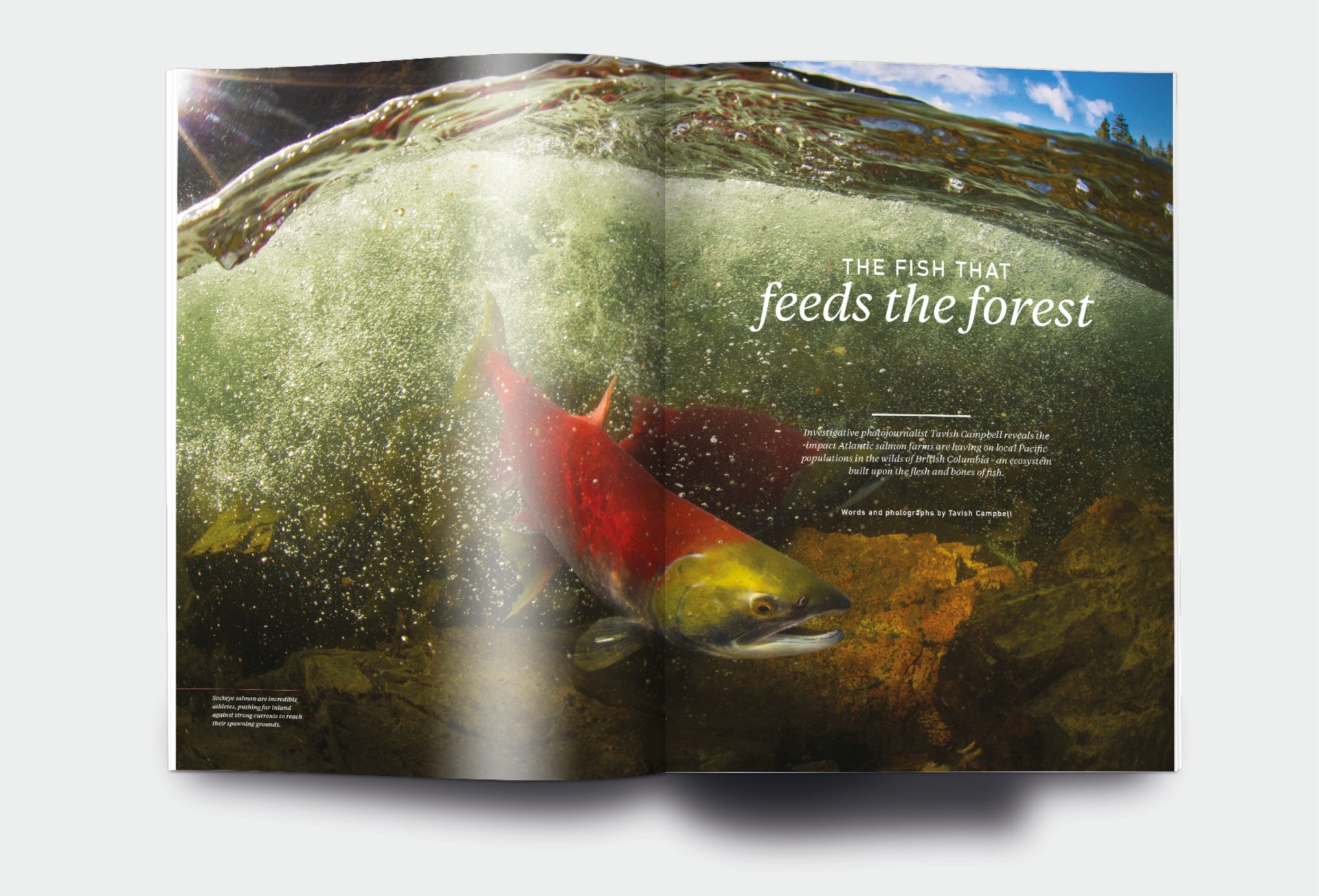 Oceanographic Magazine / Issue One / 2018