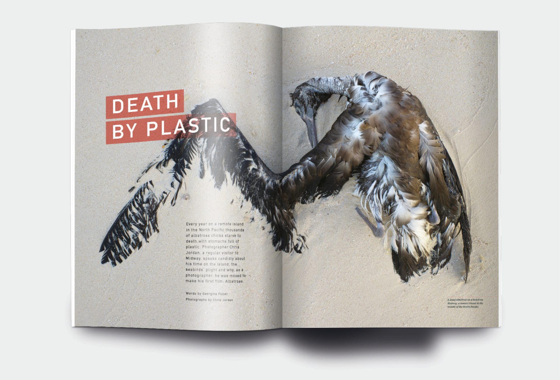 Oceanographic Magazine / Issue One / 2018