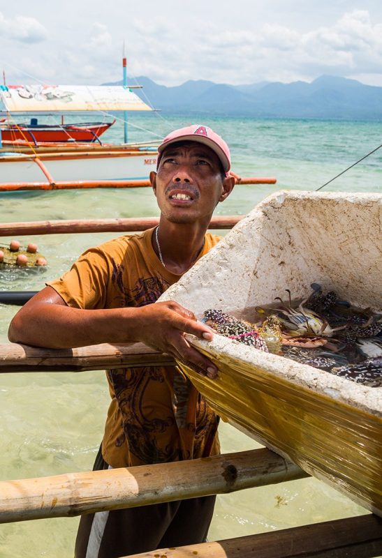 The Sustainability Frontline of Fishing in the Philippines - Oceanographic