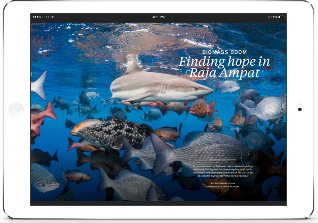 Oceanographic Magazine - 20% for ocean conservation
