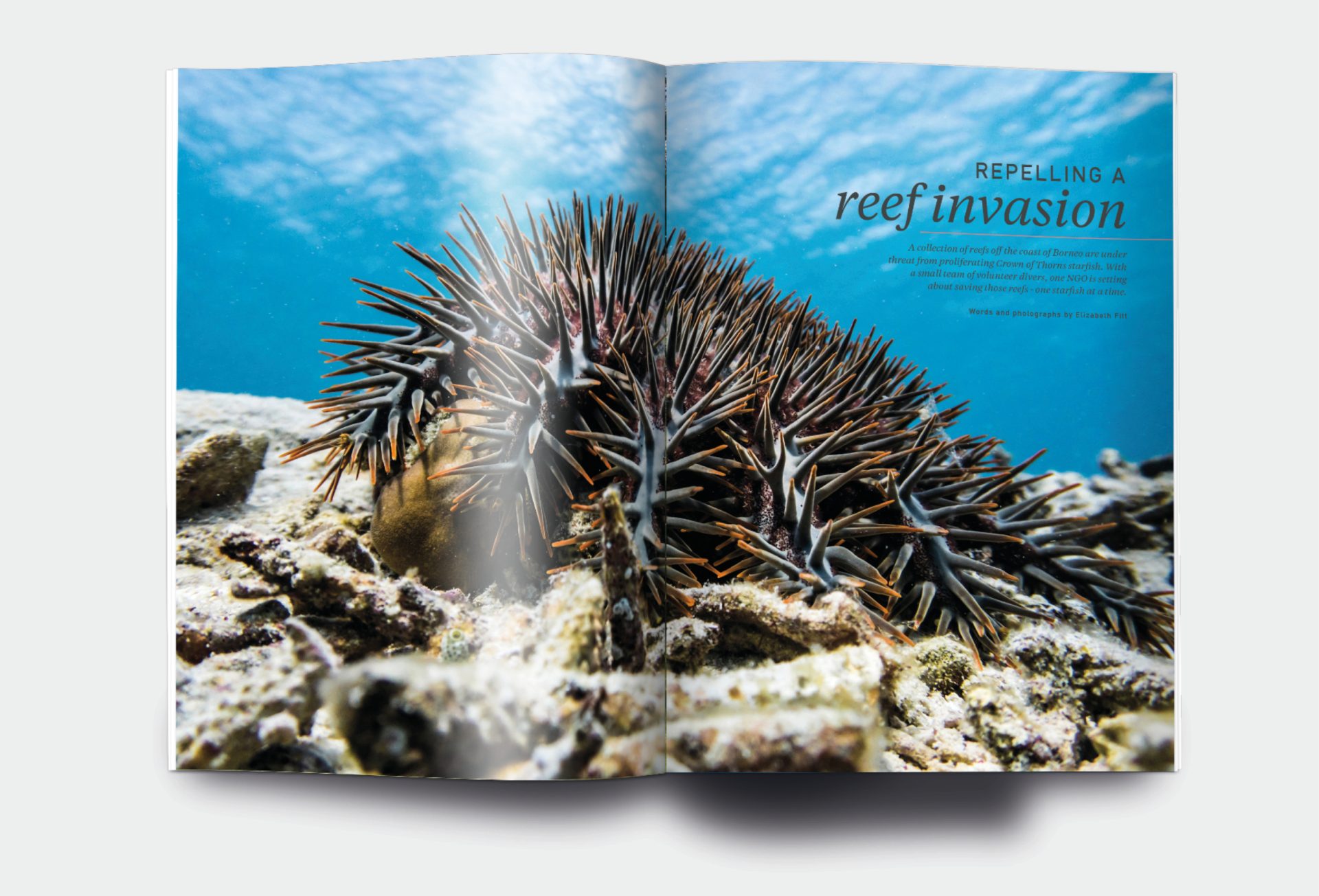 Issue Four / Fluke Science - Oceanographic Magazine