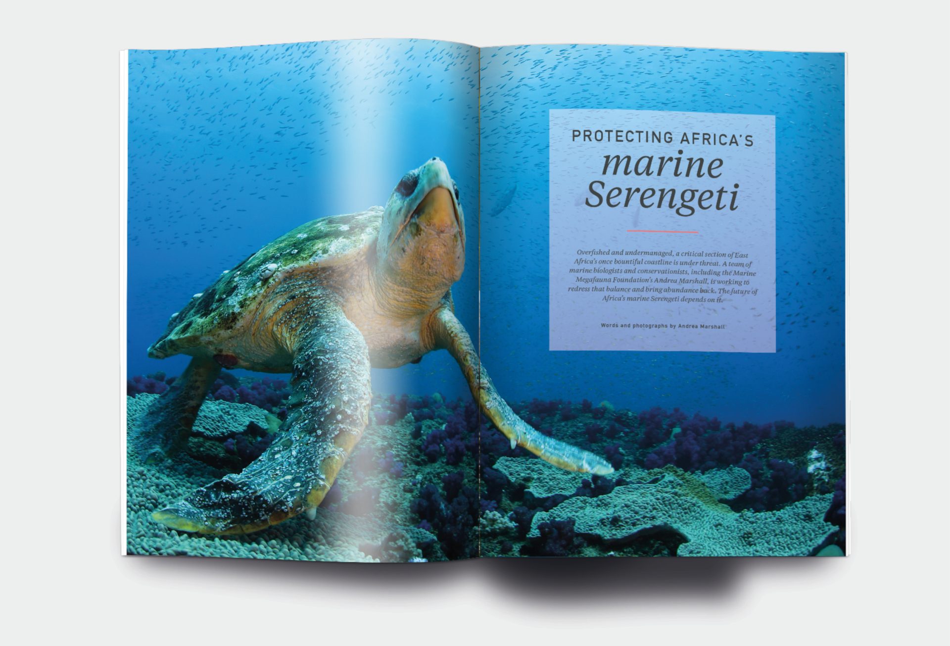 Issue Four / Fluke Science - Oceanographic Magazine