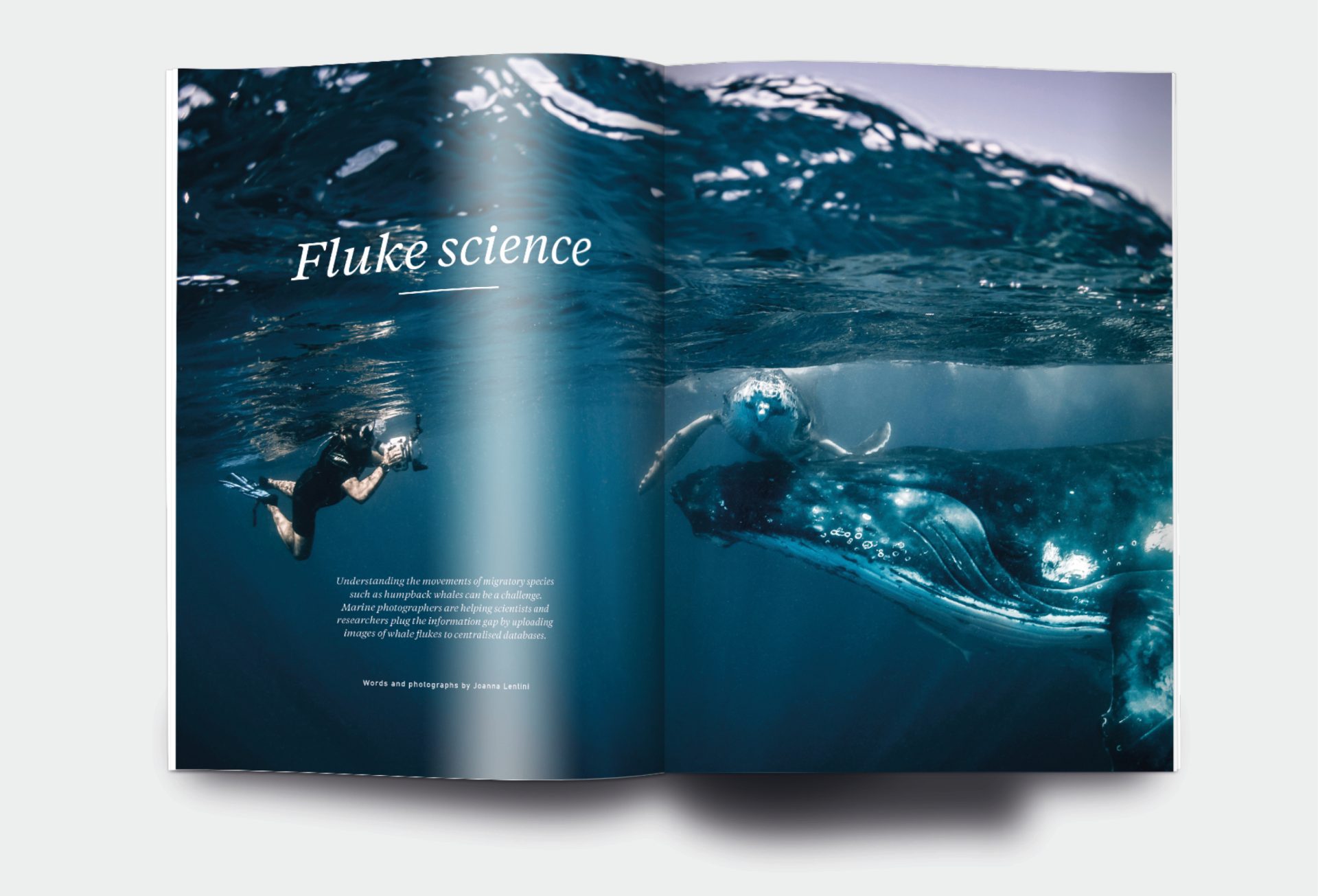Issue Four / Fluke Science - Oceanographic Magazine
