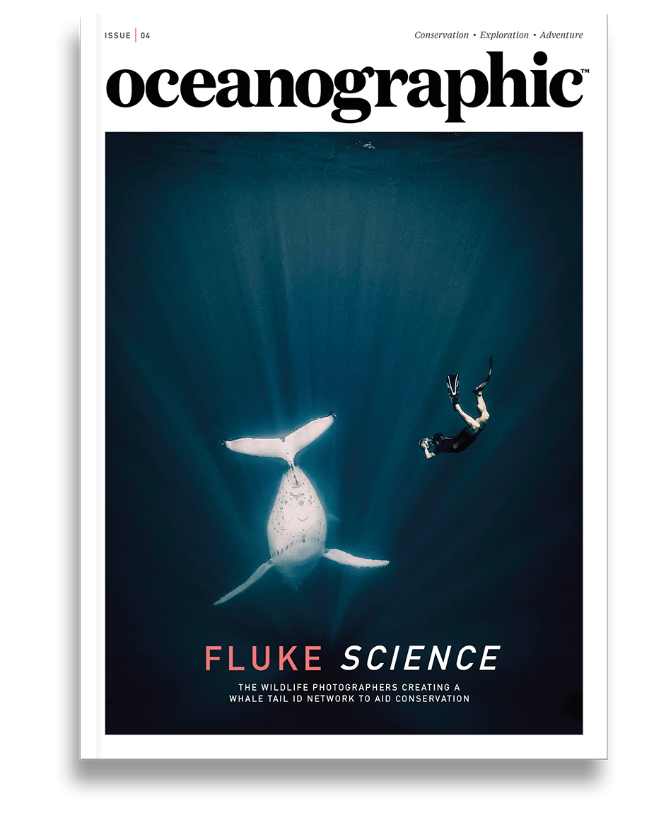 Issue Four / Fluke Science - Oceanographic Magazine