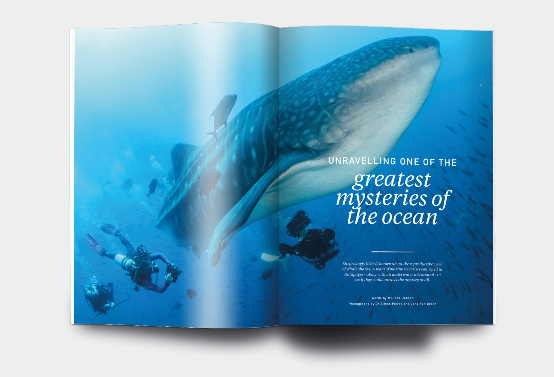 Issue 05 / Cinematic conservation - Oceanographic Magazine