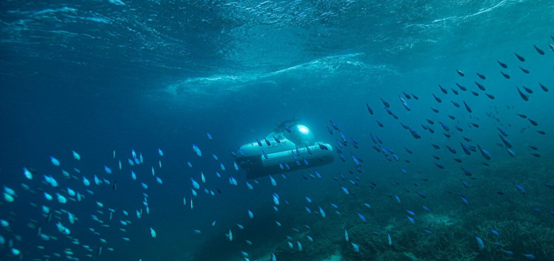 The new submersible ride share service on the Great Barrier Reef ...