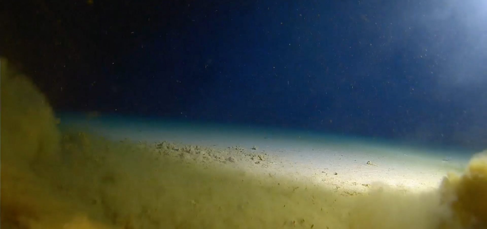 Deepest submarine dive reveals plastic debris at the ocean floor ...