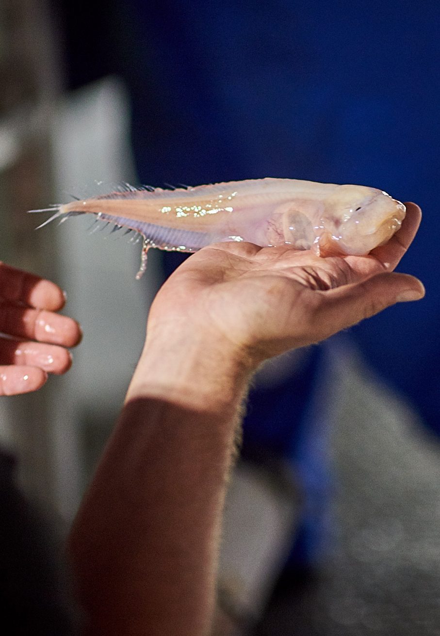 Into the deep: Expeditions to the bottom of the ocean - Oceanographic