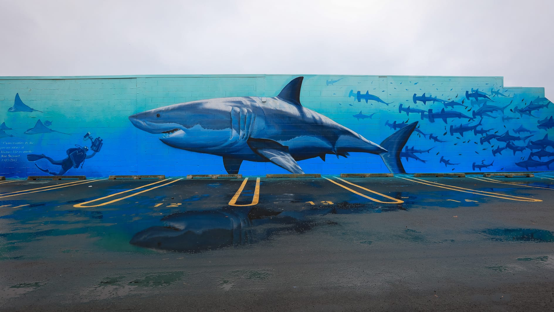 The art of conservation: How public art can bridge the gap in ...