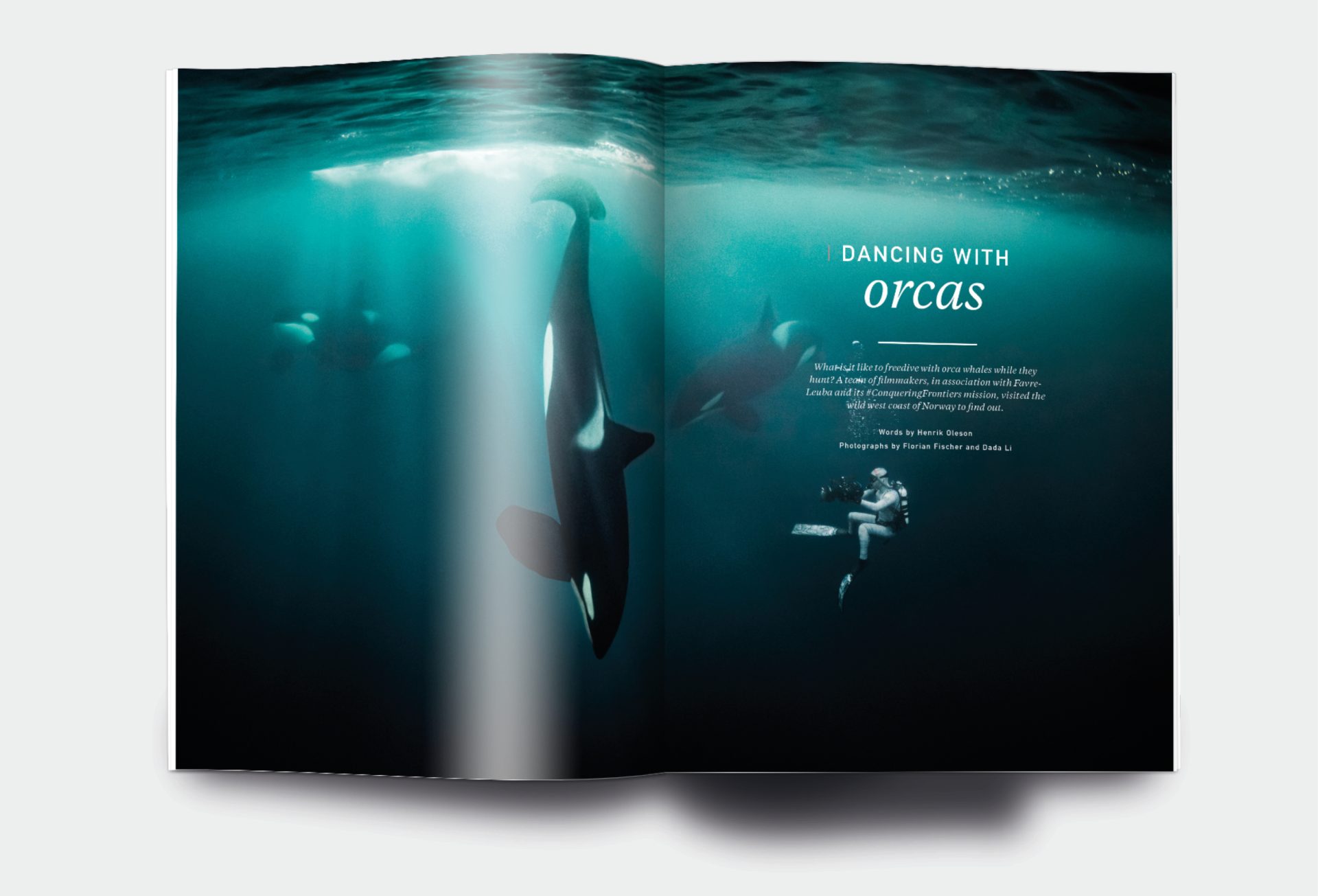 Oceanographic Magazine / Issue Nine / Dancing with orcas