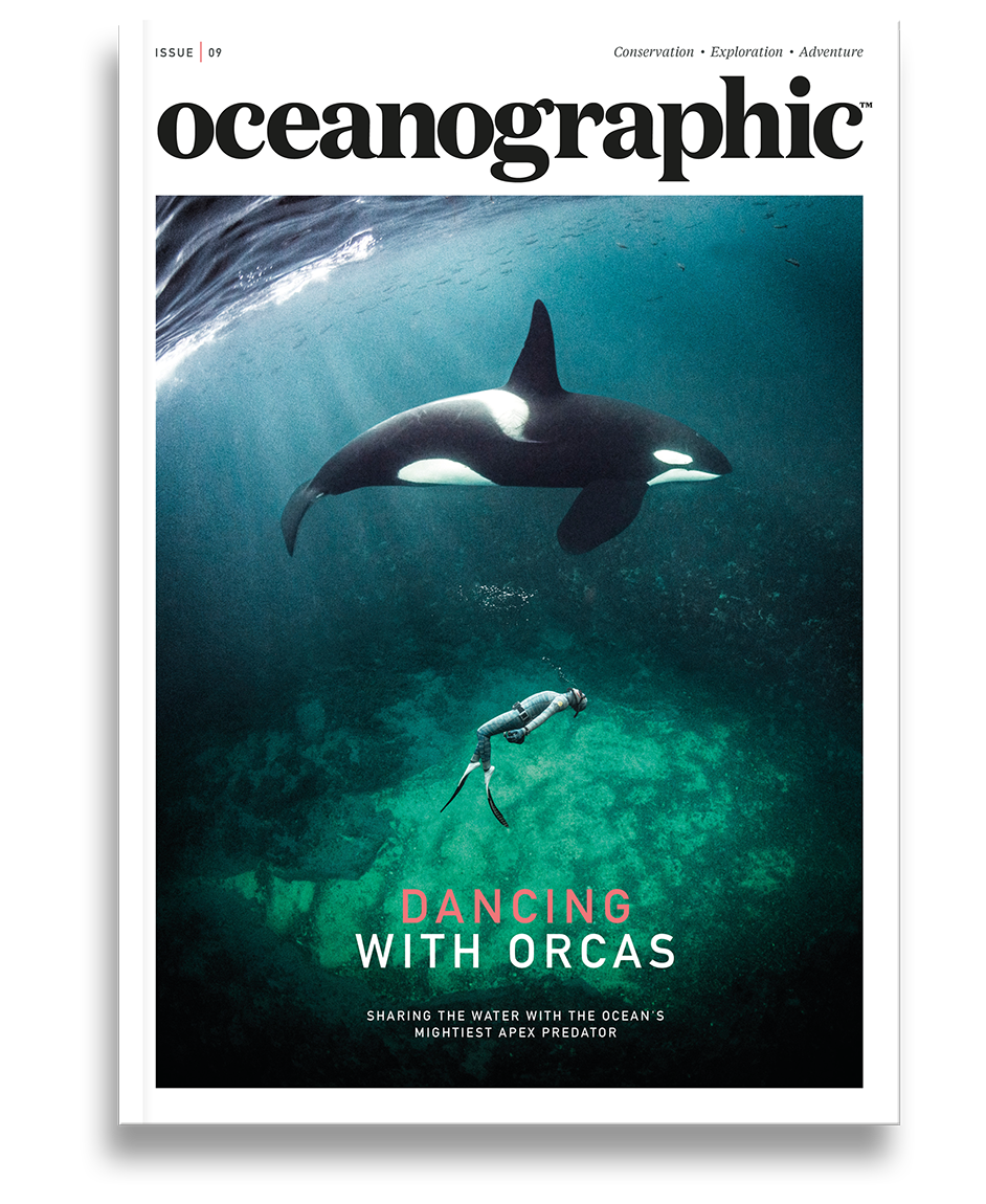 Oceanographic Magazine / Issue Nine / Dancing with orcas
