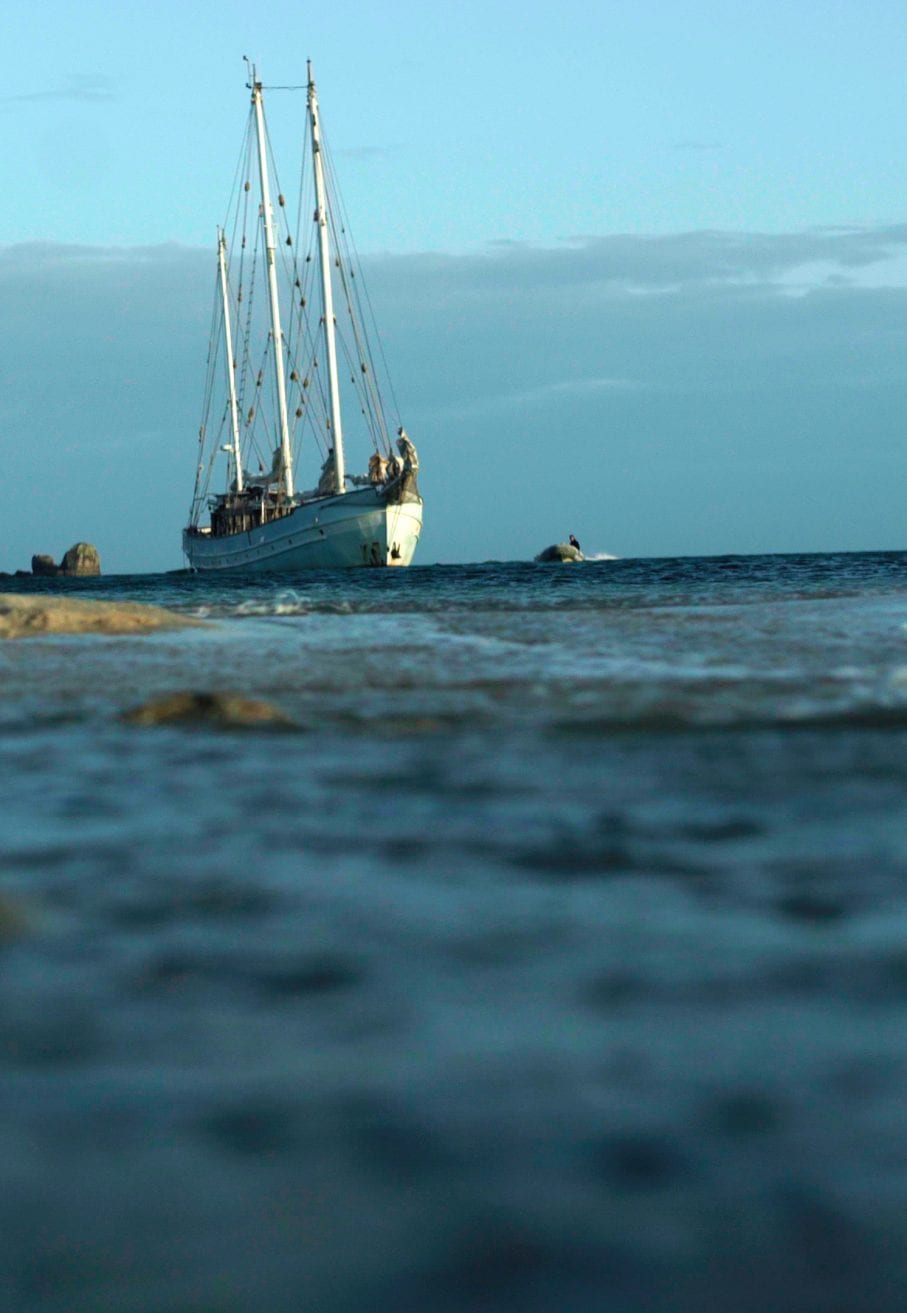 Life on board Rara Avis, the tall ship that brings people together