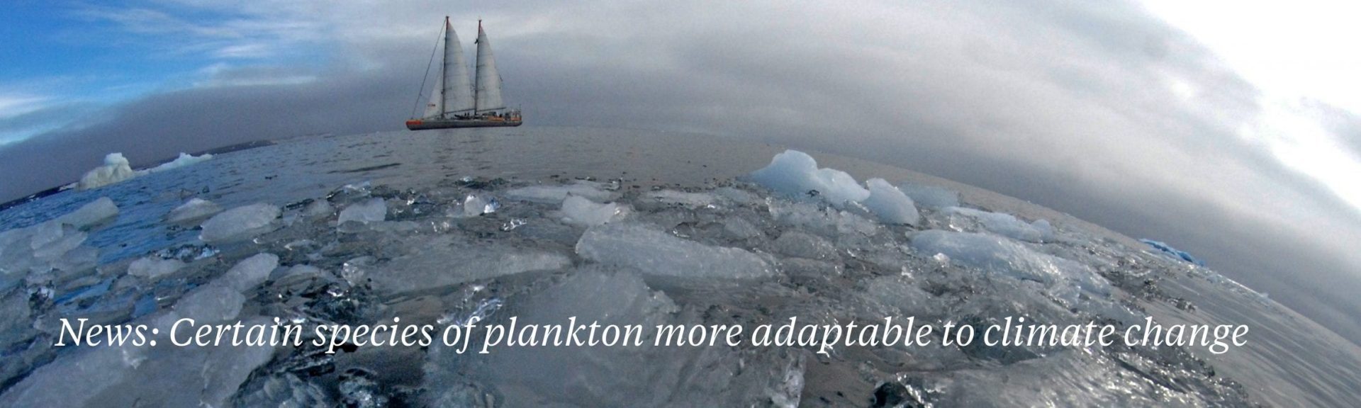 International fisheries meeting could make or break the future of ...