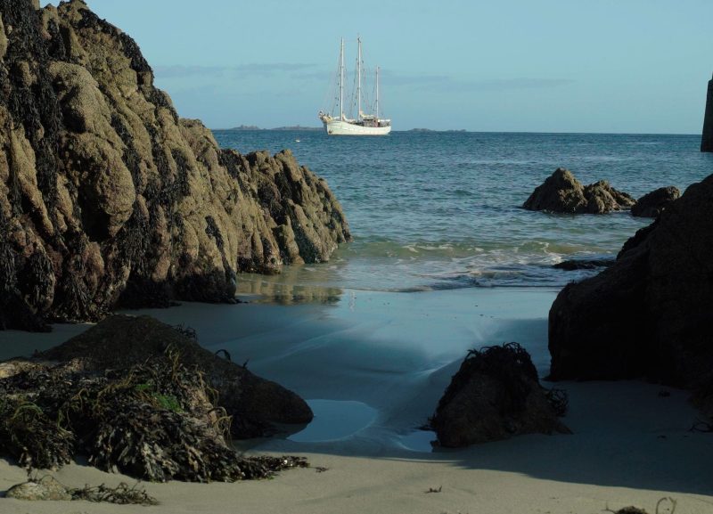 Life on board Rara Avis, the tall ship that brings people together