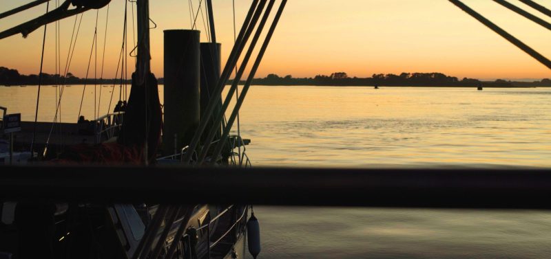 Life on board Rara Avis, the tall ship that brings people together