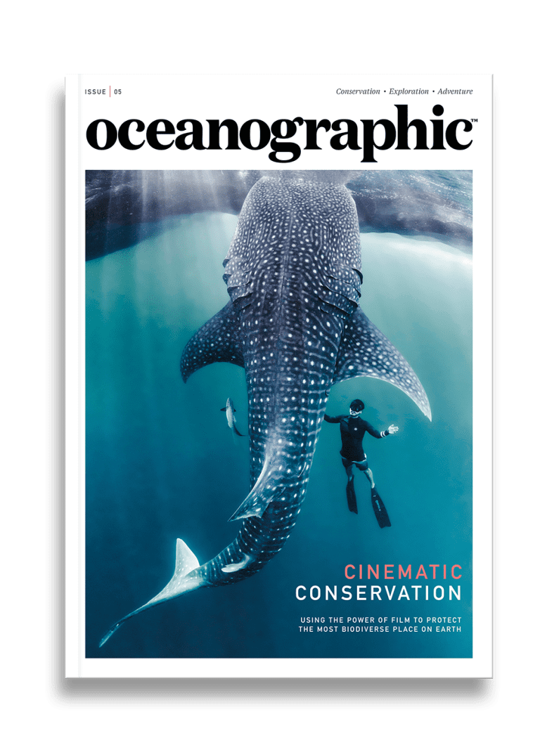 Using the power of media to protect West Papua - Oceanographic