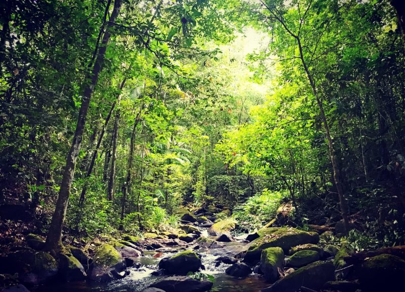 Welcome to the jungle: Paddling the Essequibo River from source to sea