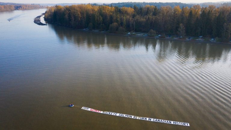 Death by a thousand cuts - How the fish farming industry of British ...