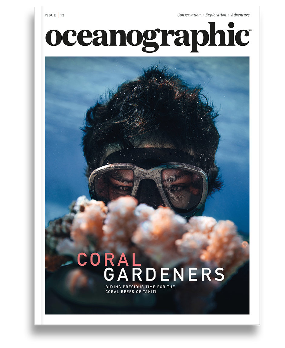 Issue Twelve / Coral Gardeners - Oceanographic Magazine