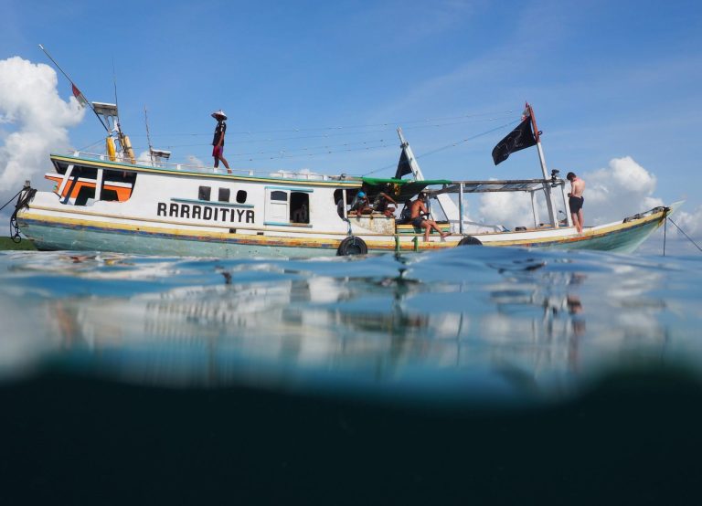 The shark defender: In conversation with Project Hiu founder, Madison ...