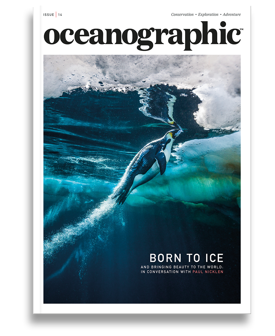 Issue Fourteen / Born to ice / Oceanographic Magazine