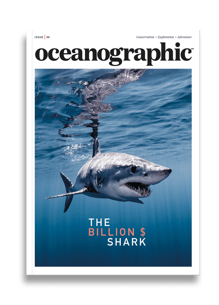 Pitcairn Island : Liberating paradise from plastic - Oceanographic