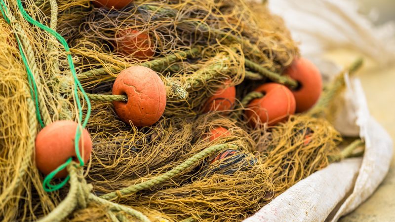 Up to one million tons of ghost gear fishing waste entering ocean each ...