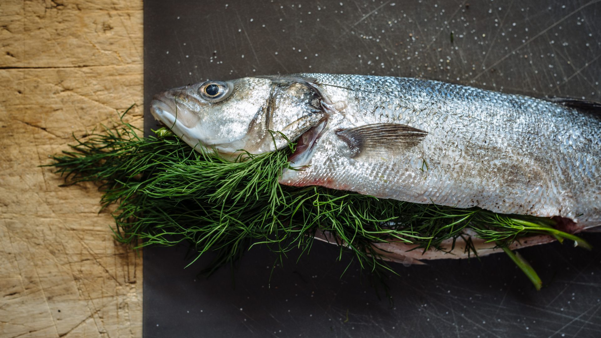 Marine Conservation Society highlights cetacean bycatch concerns in sea ...