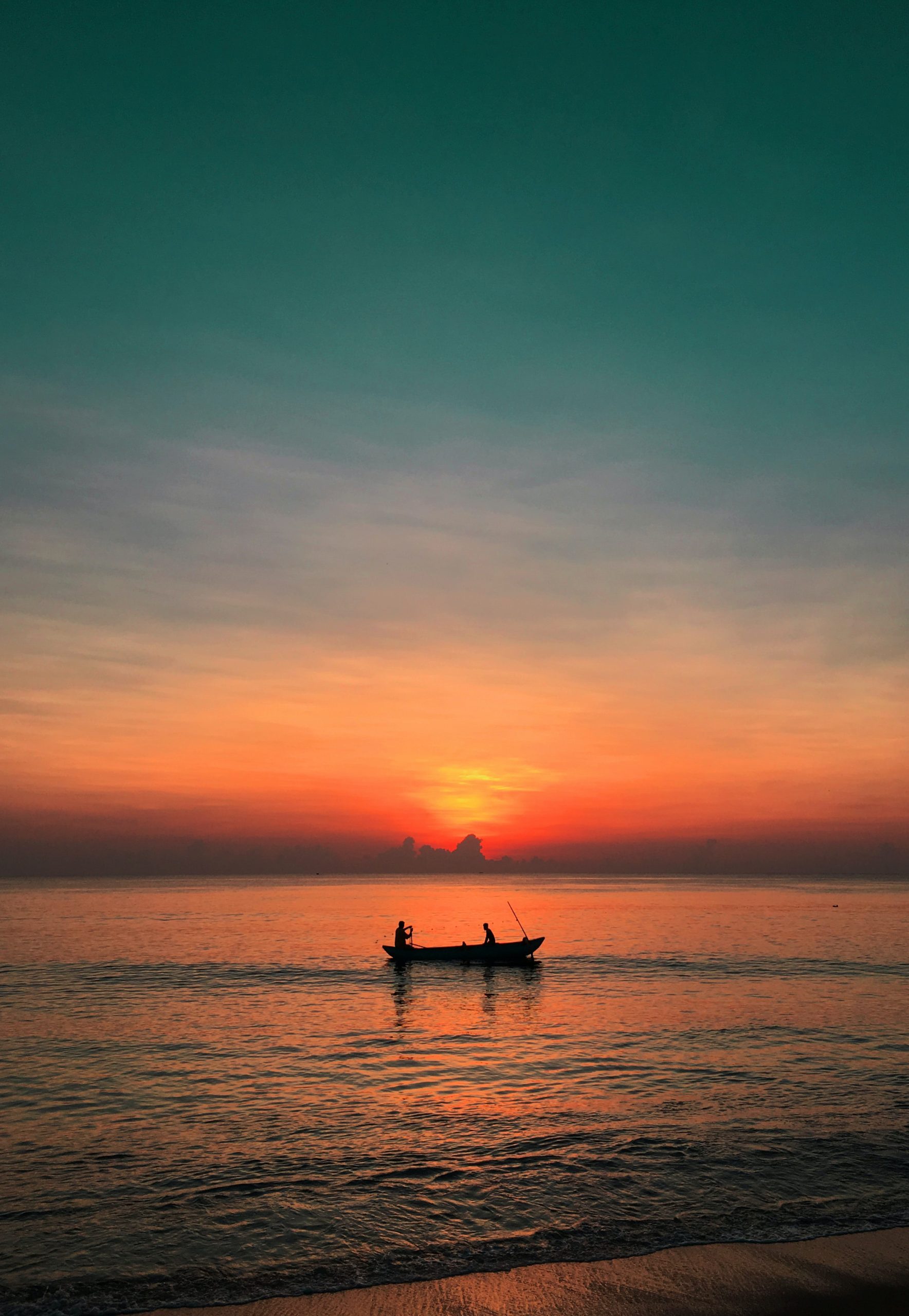 Coastal heroism: In conservation with Dr Asha de Vos on ocean heroes ...