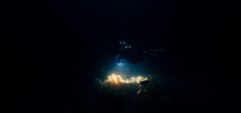 Moonless Oasis: The glass sponge reefs of Howe Sound - Oceanographic