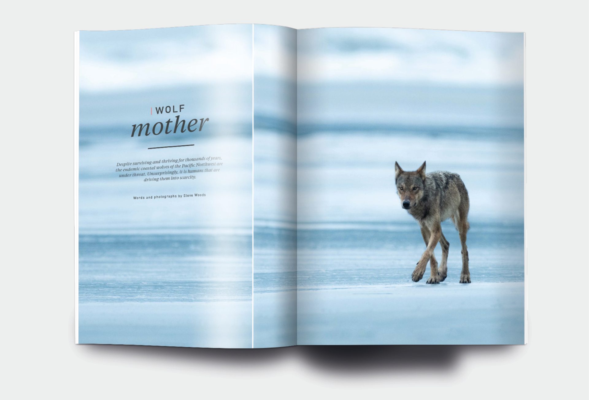 Issue Seventeen / Wolf mother - Oceanographic Magazine