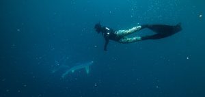 Celtic Deep: Adventures in the vibrant waters of the Celtic Sea ...