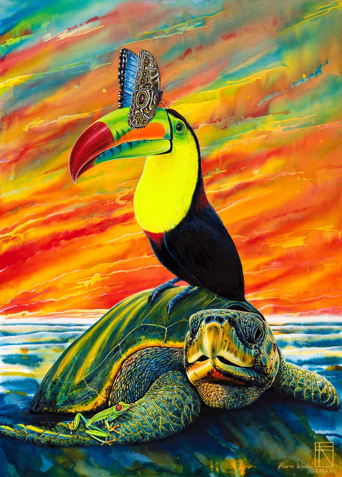 Francesca Page: Ocean art meets photography - Oceanographic