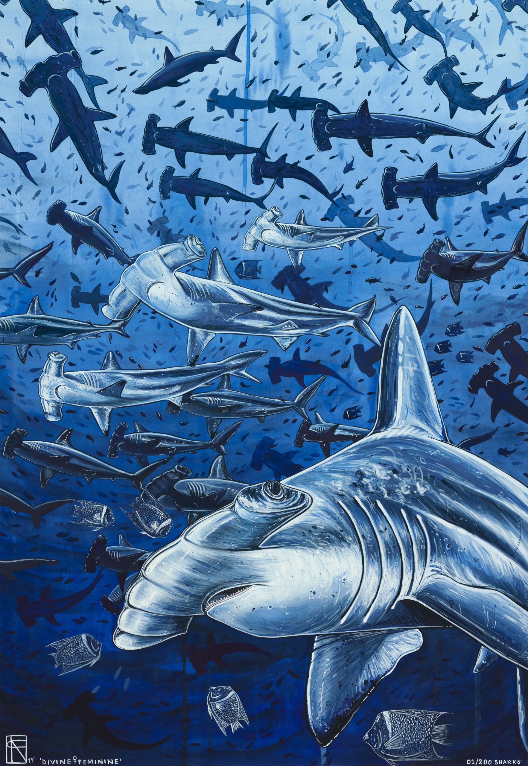 Francesca Page: Ocean art meets photography - Oceanographic