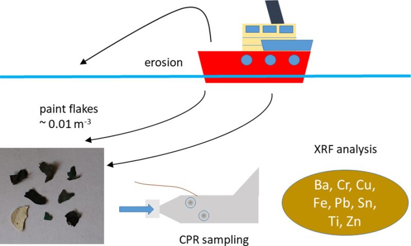 Paint flakes most abundant microplastic particles after fibres