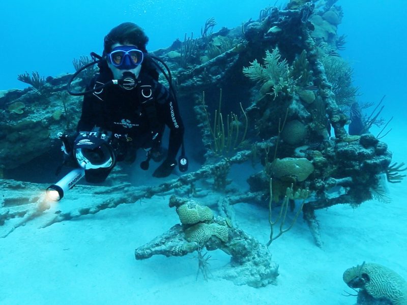 Rebalancing act - Oceanographic bermuda's seagrass