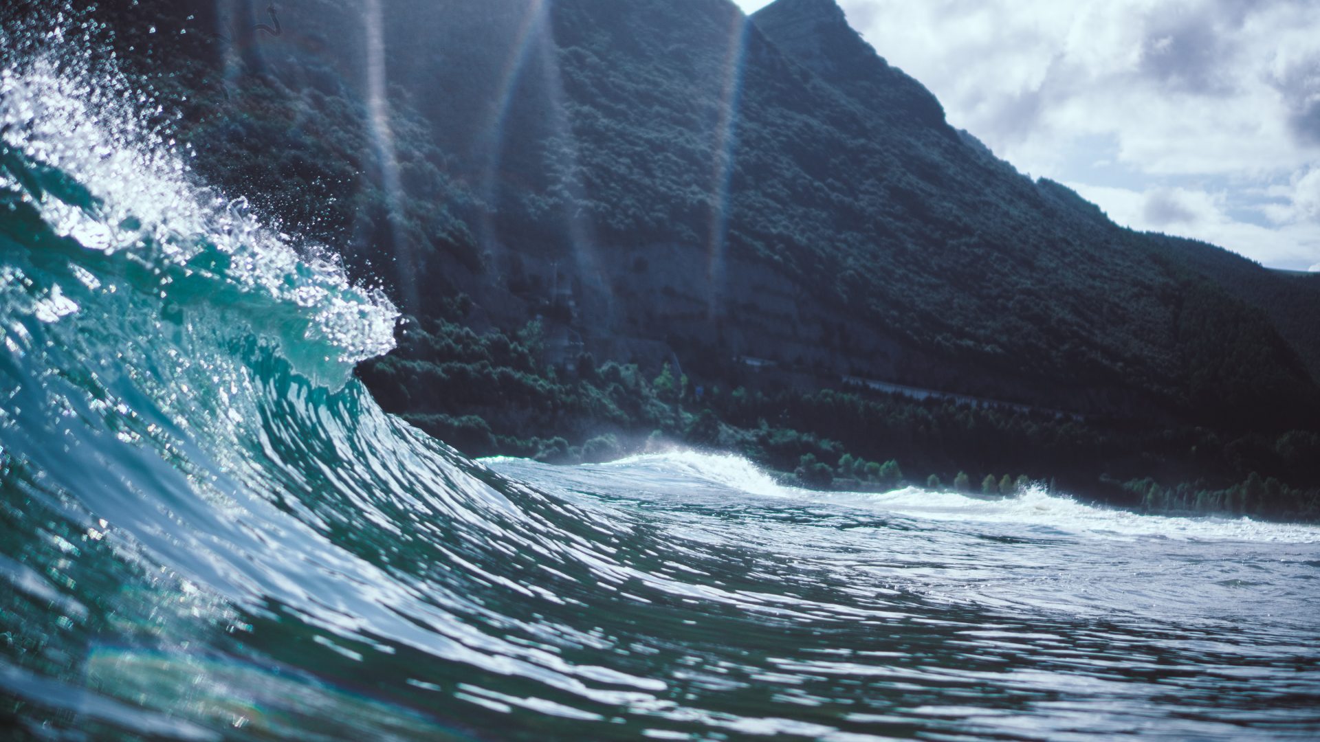 Plankton helped build mountains, study finds - Oceanographic