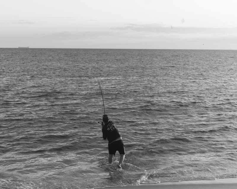 Shark tagging - Oceanographic