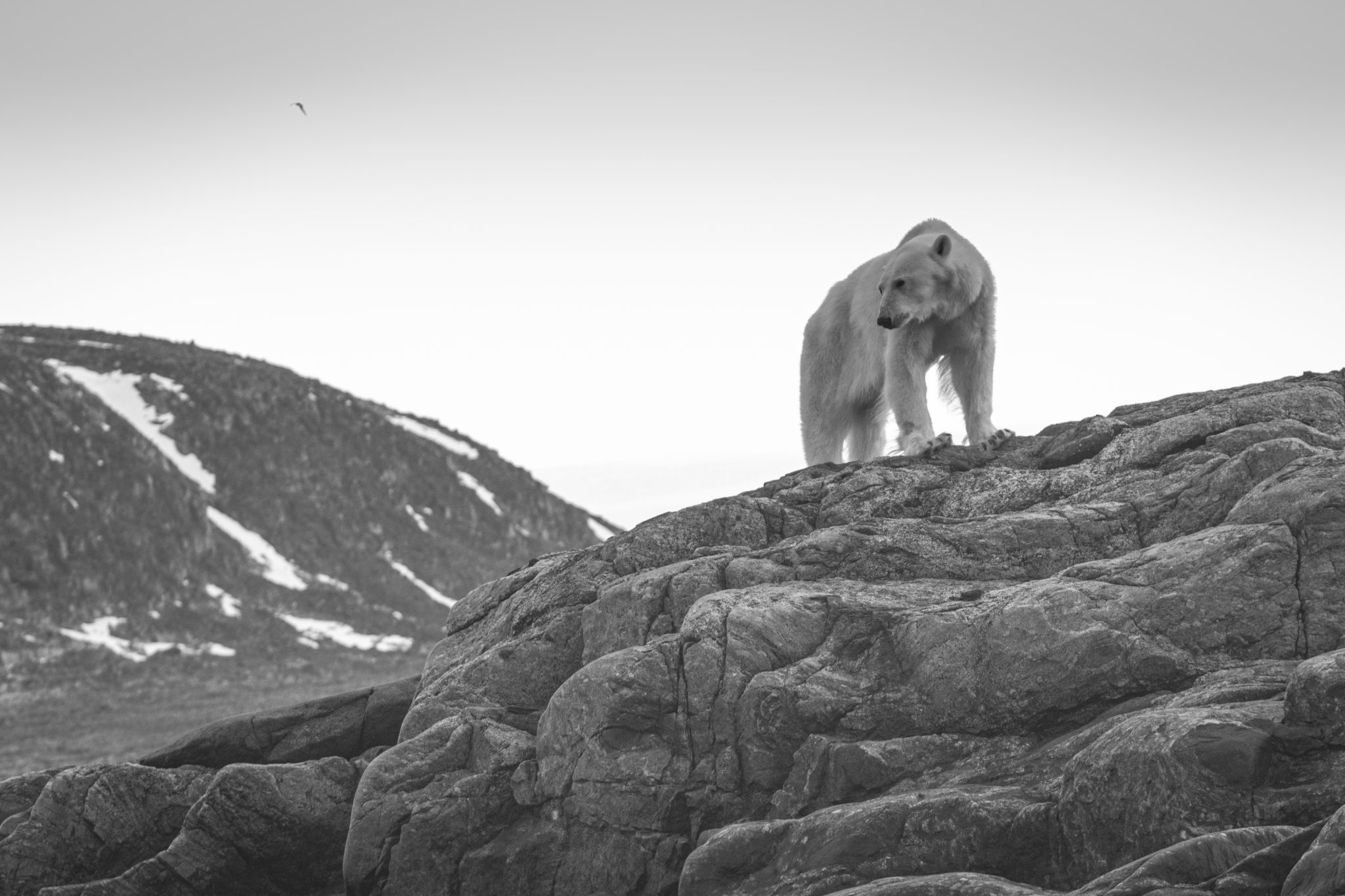 2020 CPoY finalist, Martin Berg - Oceanographic