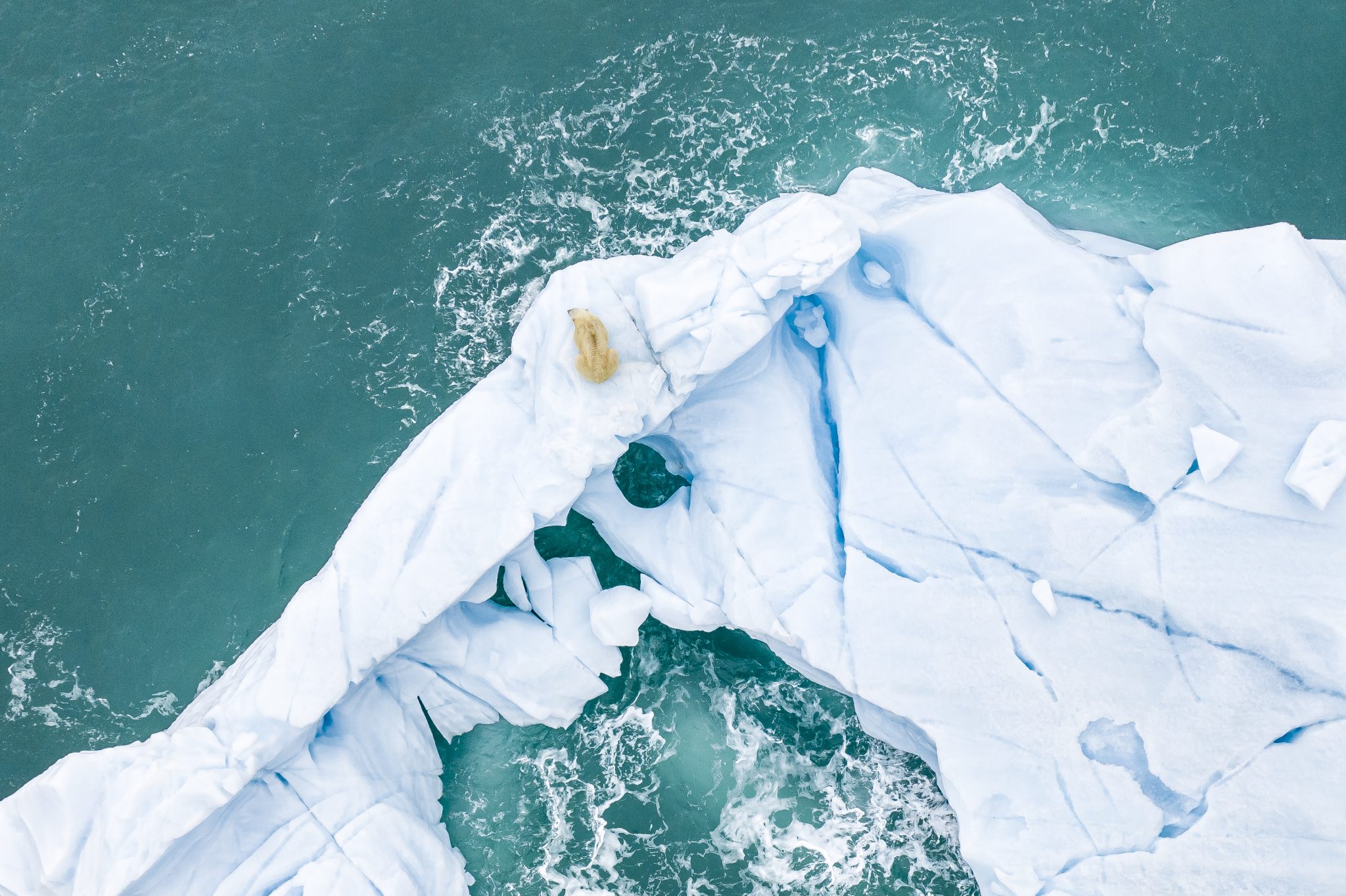 2020 CPoY finalist, Florian Ledoux - Oceanographic