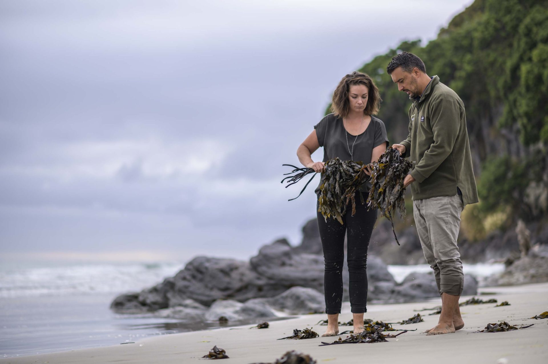Cleaning rivers with sea lettuce in New Zealand - Oceanographic