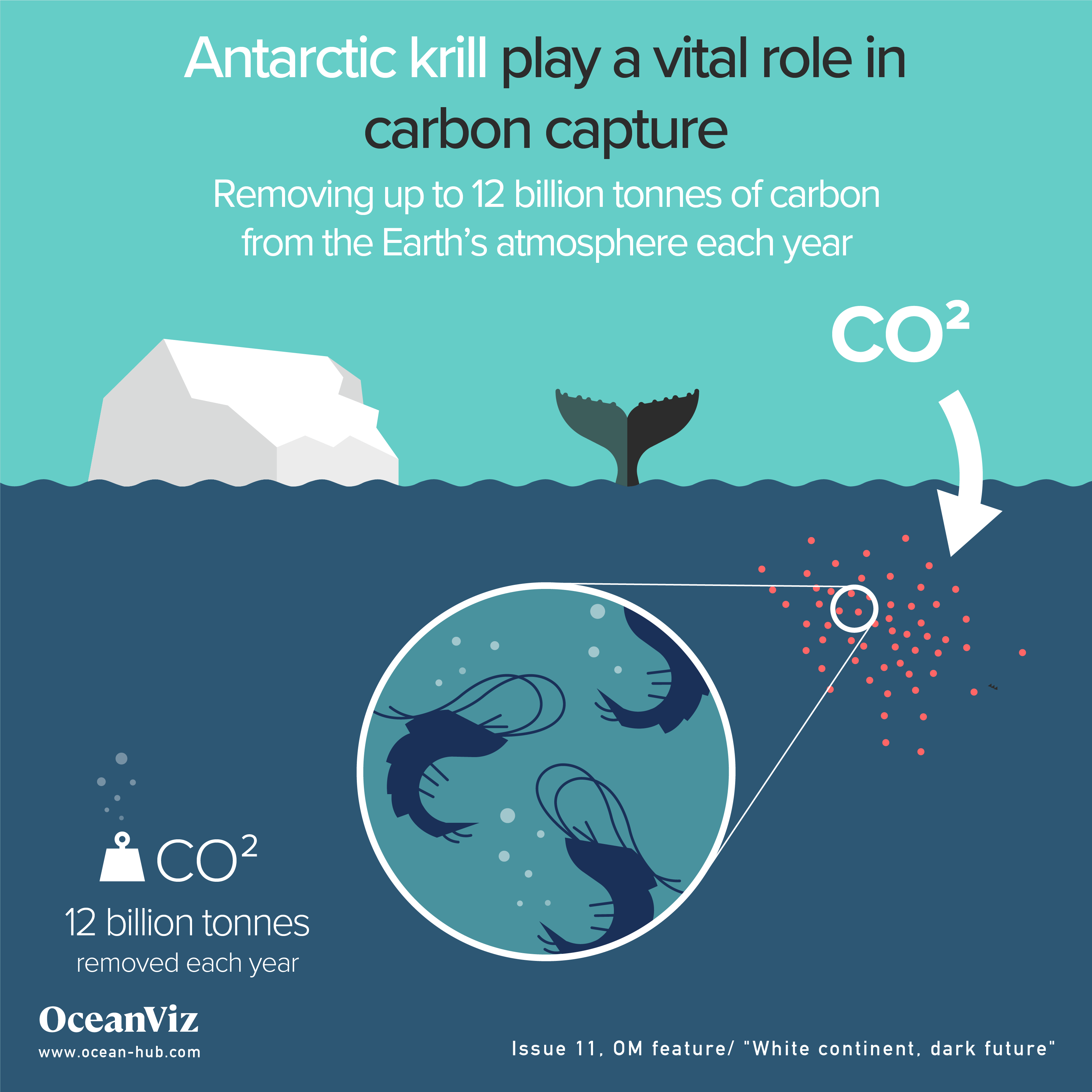 Antarctic krill vital in carbon capture - Oceanographic