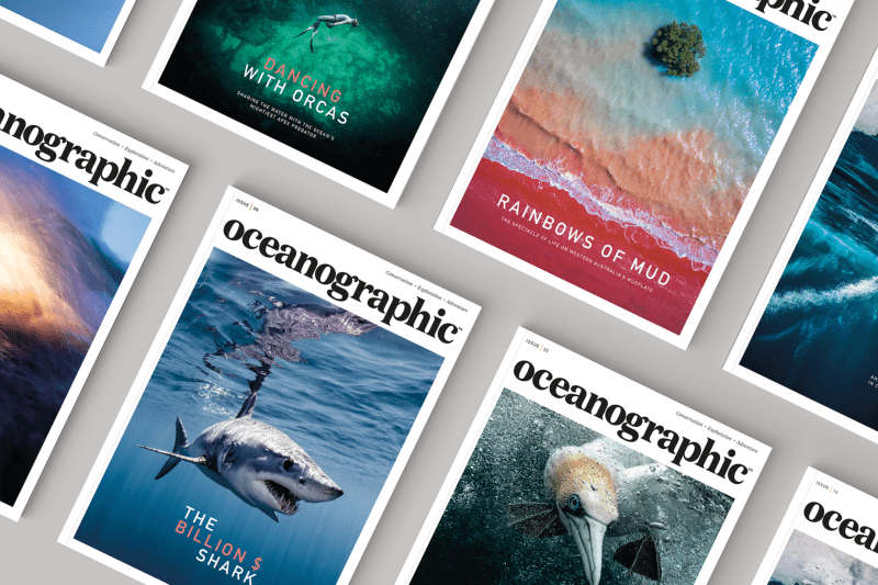 Print only - Oceanographic