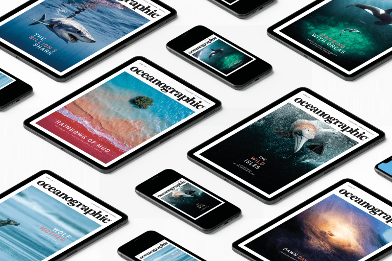 Digital only - Oceanographic