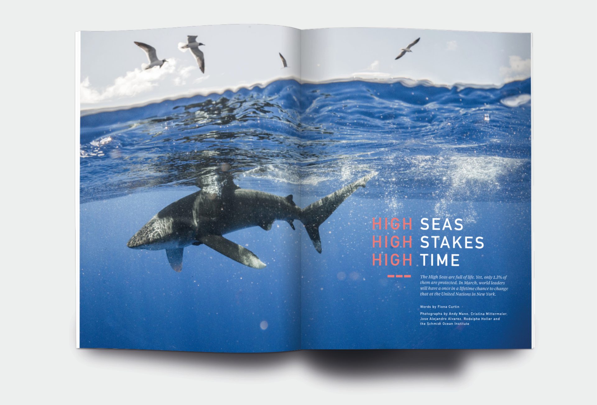 Issue 23 / High seas - Oceanographic