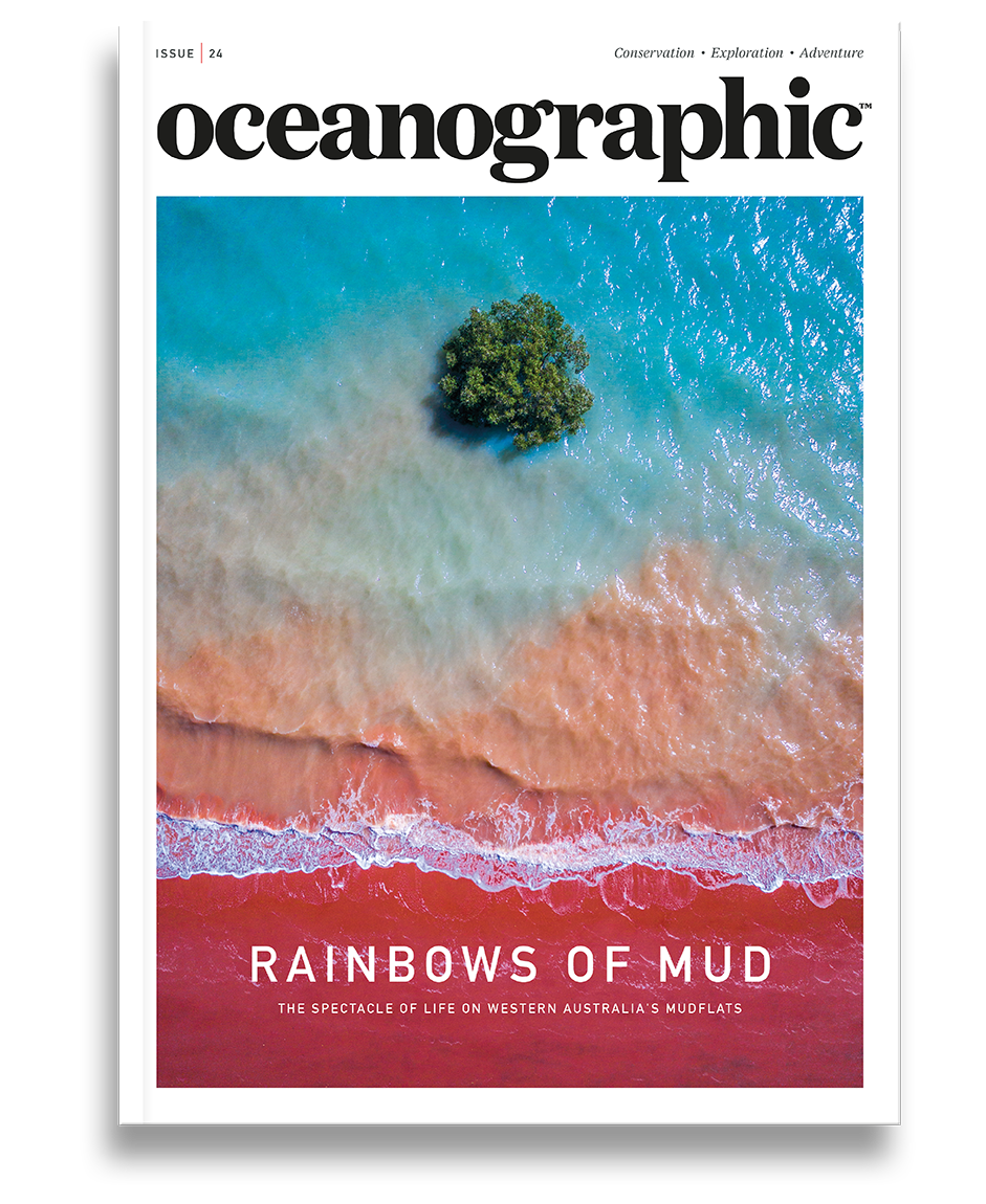 Issue 24 / Rainbows of mud - Oceanographic