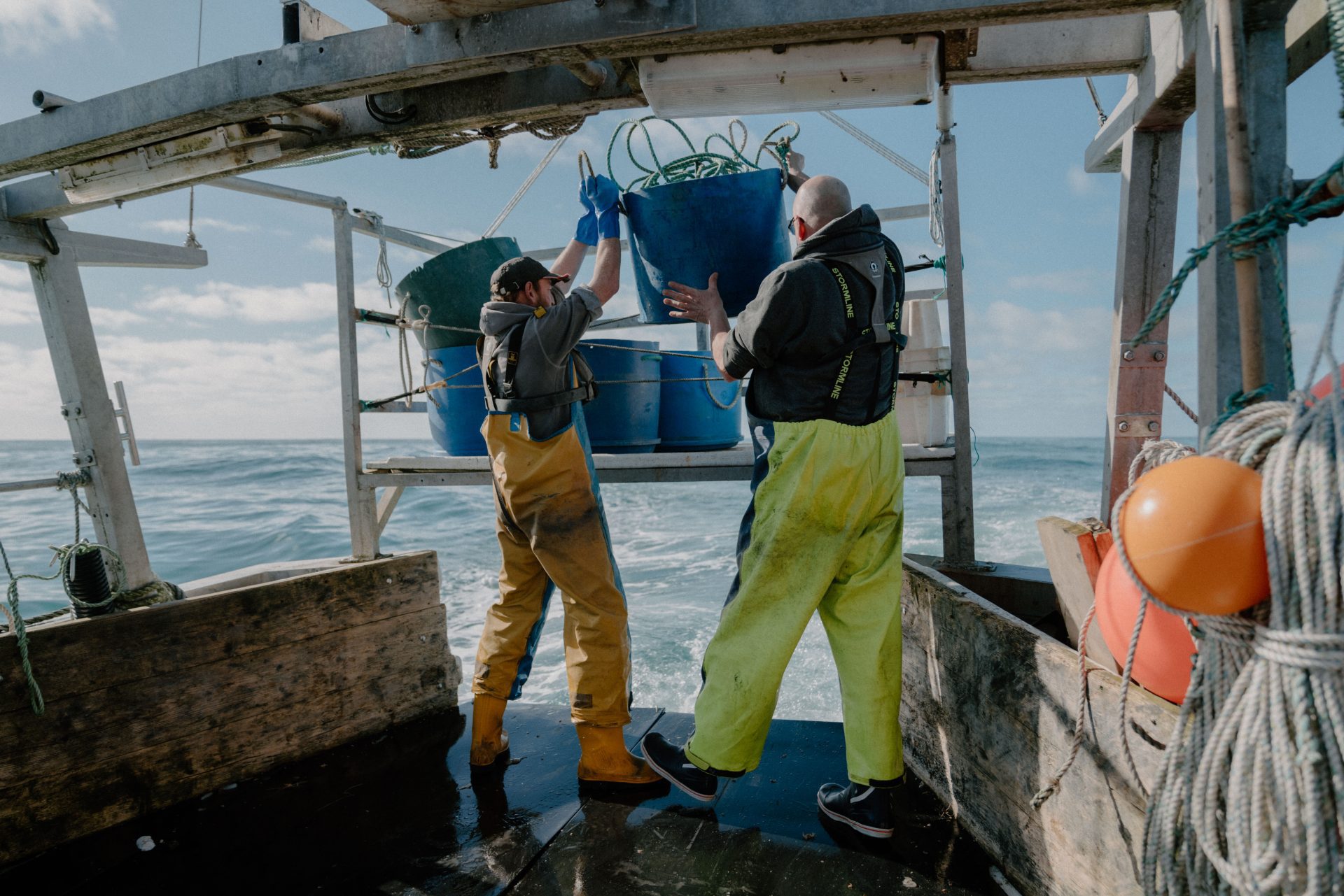 Scallop disco: Catching scallops sustainably - Oceanographic
