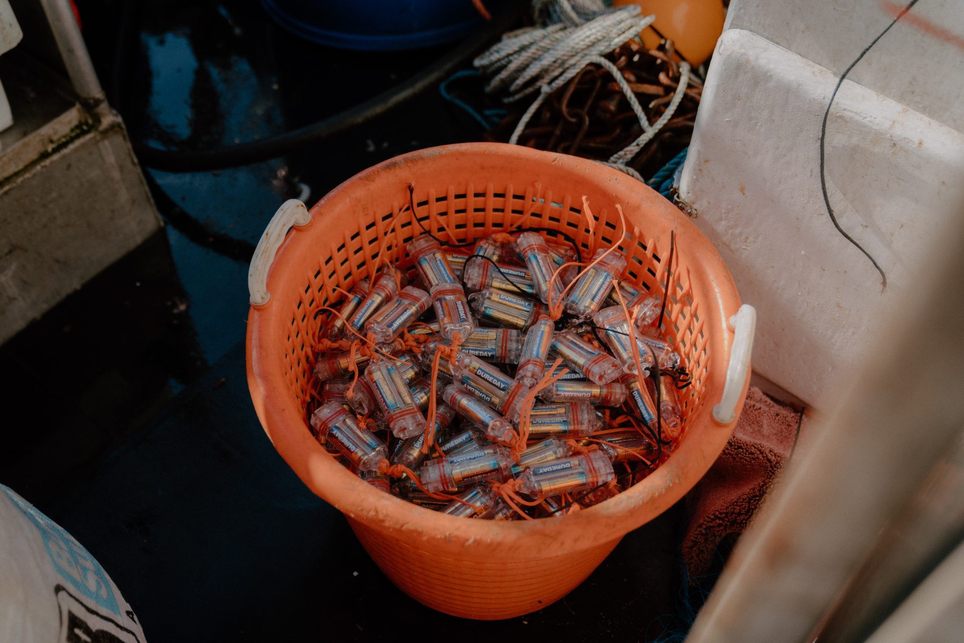 Scallop disco: Catching scallops sustainably - Oceanographic