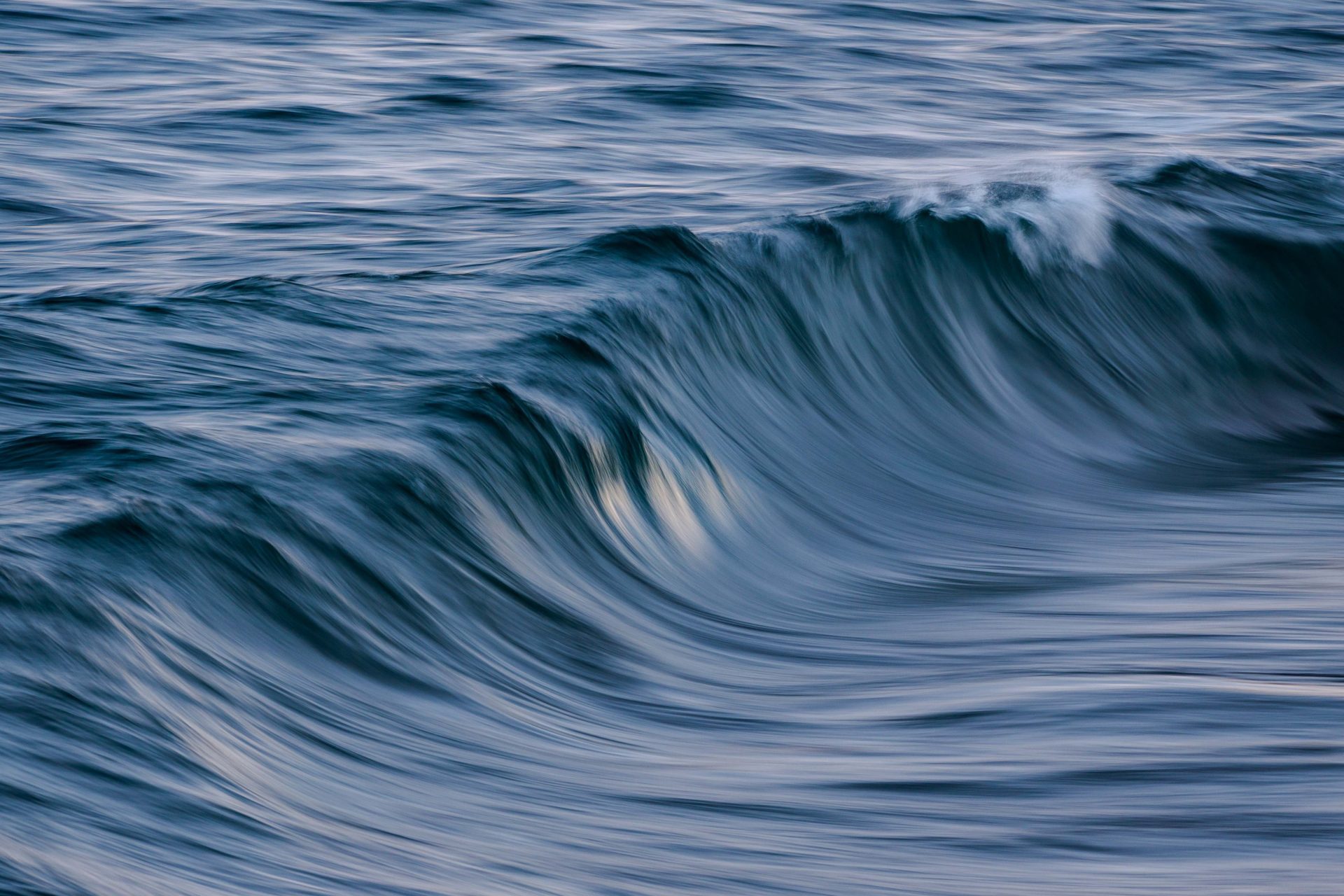 Overfishing: Oceana reveals roadmap to end "ocean gutting" - Oceanographic