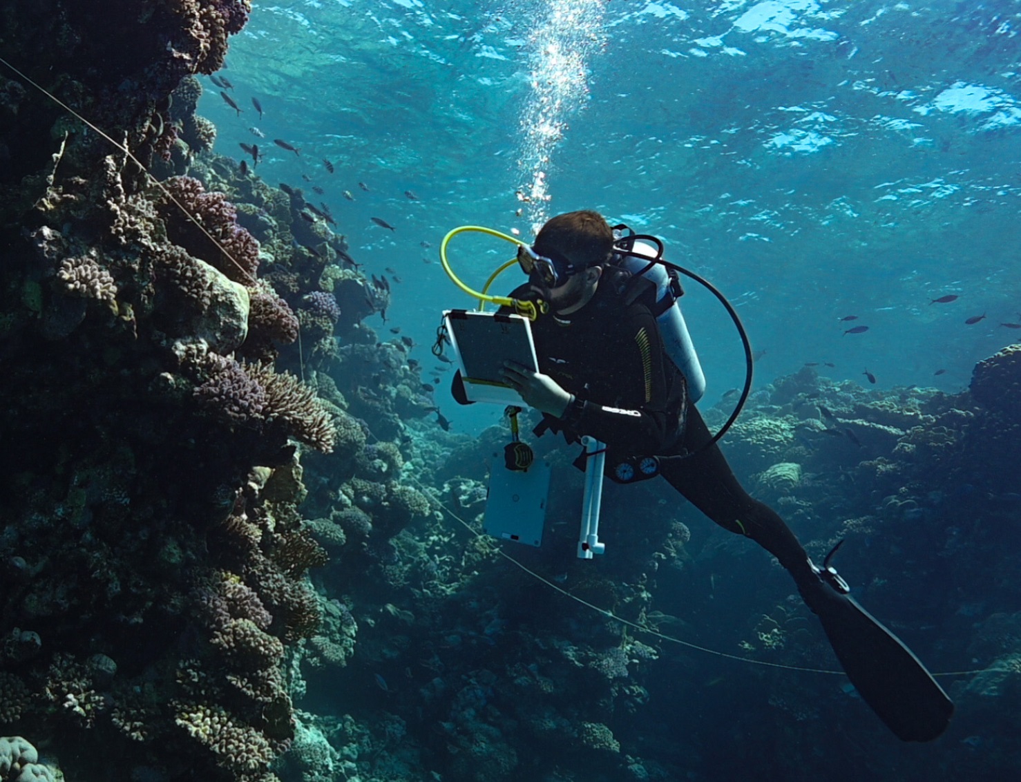 Red Sea wonders: Surveying up the coastline - Oceanographic